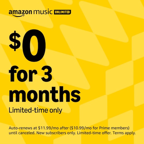 your best friend jippy